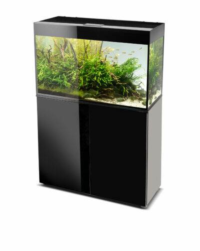 Aquariums – Modern Aquatic Design Aquariums