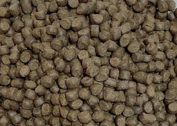 Orca Large Sinking Protein Pellet – Modern Aquatic Design Aquariums