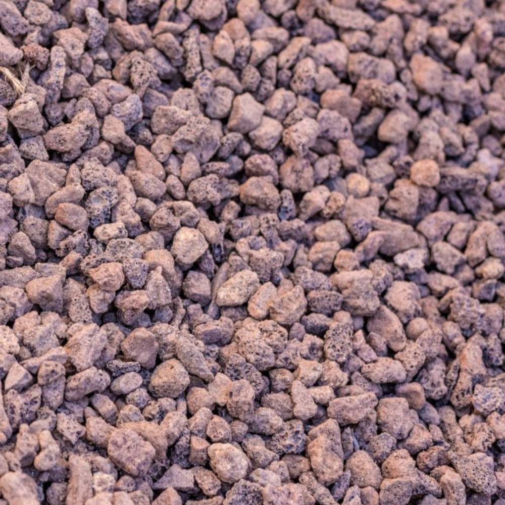 Scoria – Modern Aquatic Design Aquariums