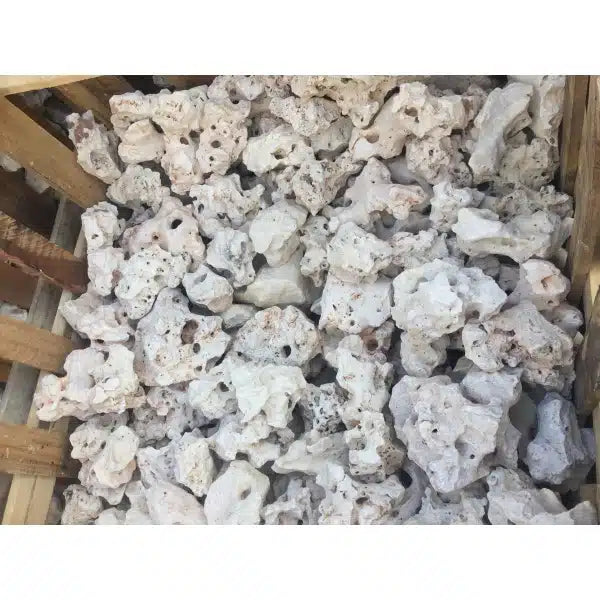 A.P. Natural Texas Holey Rock – Modern Aquatic Design Aquariums